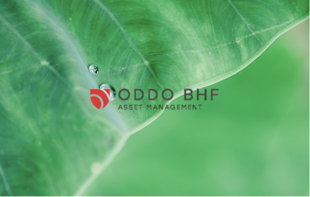 Oddo BHF AM saisit l'opportunité ELTIF 2.0 | CFNEWS