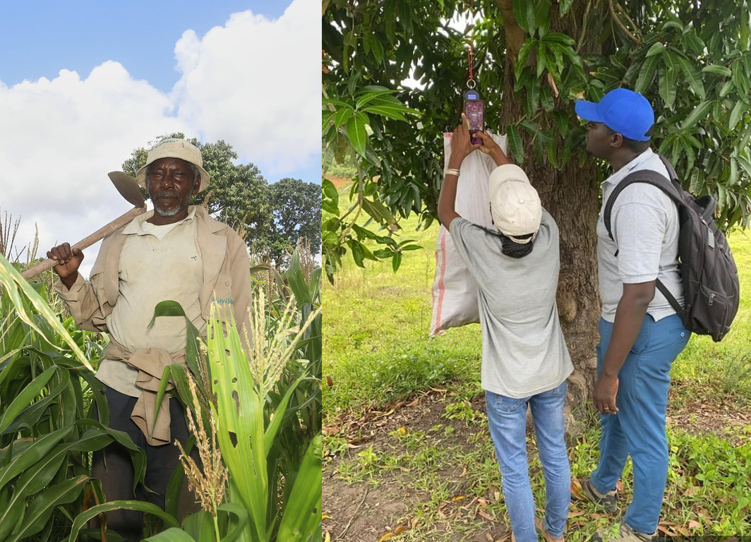 Pula s'assure ; YoLa Fresh révolutionne l'agritech | CFNEWS
