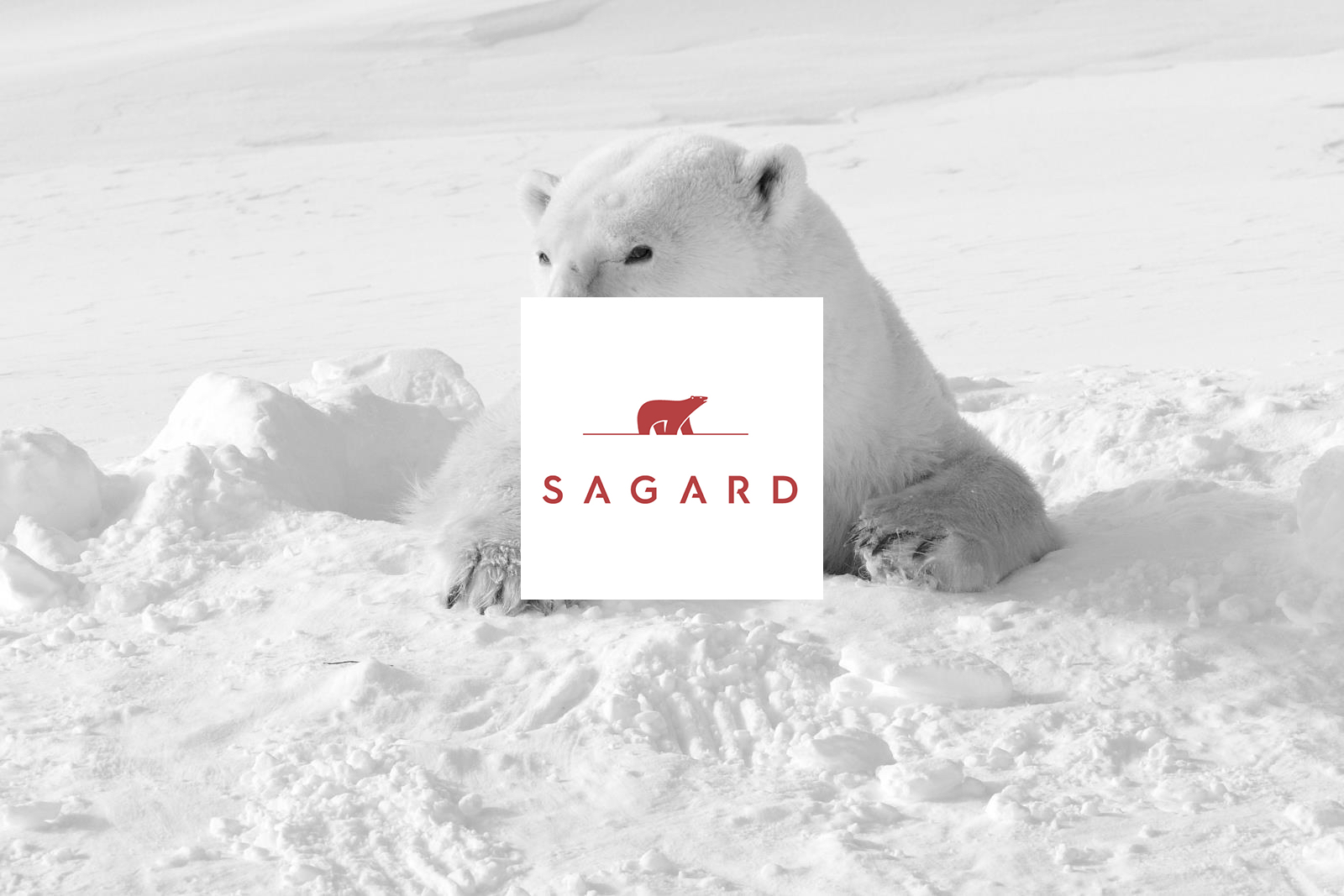 Sagard se dote d'un fonds sectoriel small cap | CFNEWS