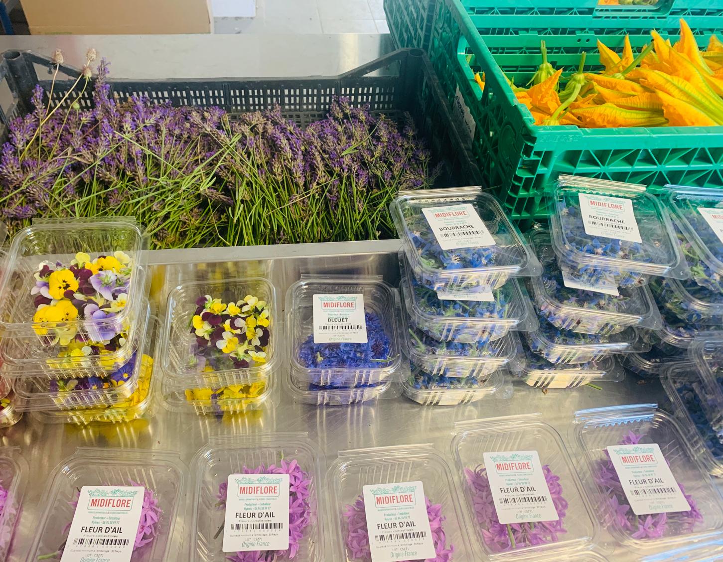 Midiflore cultive ses projets avec deux fonds | CFNEWS