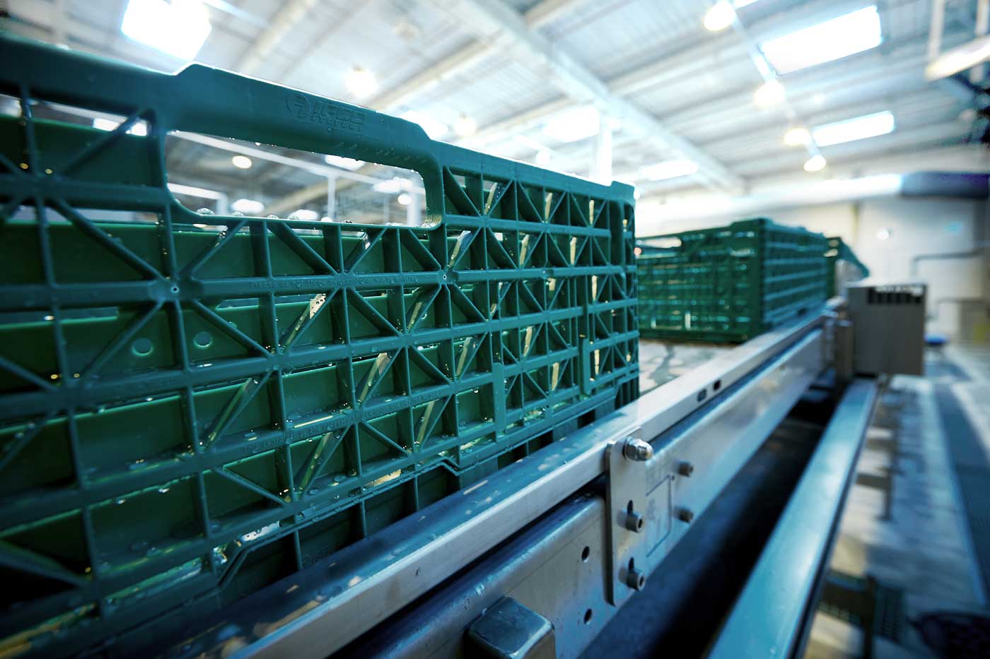 MT Systems s'ouvre à un minoritaire | CFNEWS