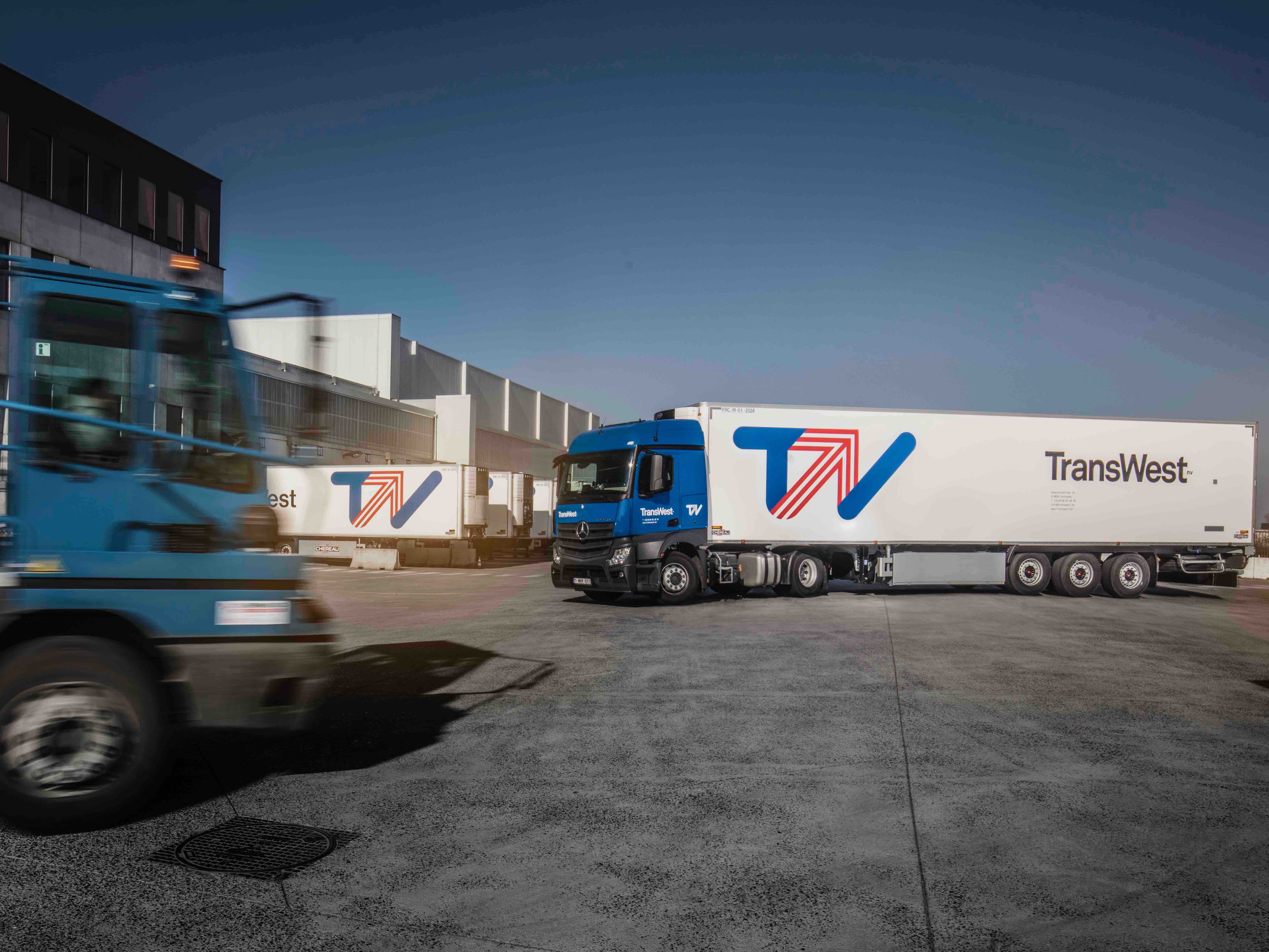 Stef conduit sa croissance en Belgique | CFNEWS