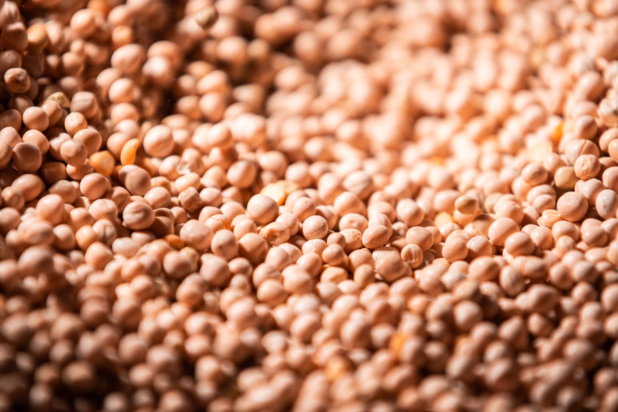 Cosucra assaisonne son capital | CFNEWS