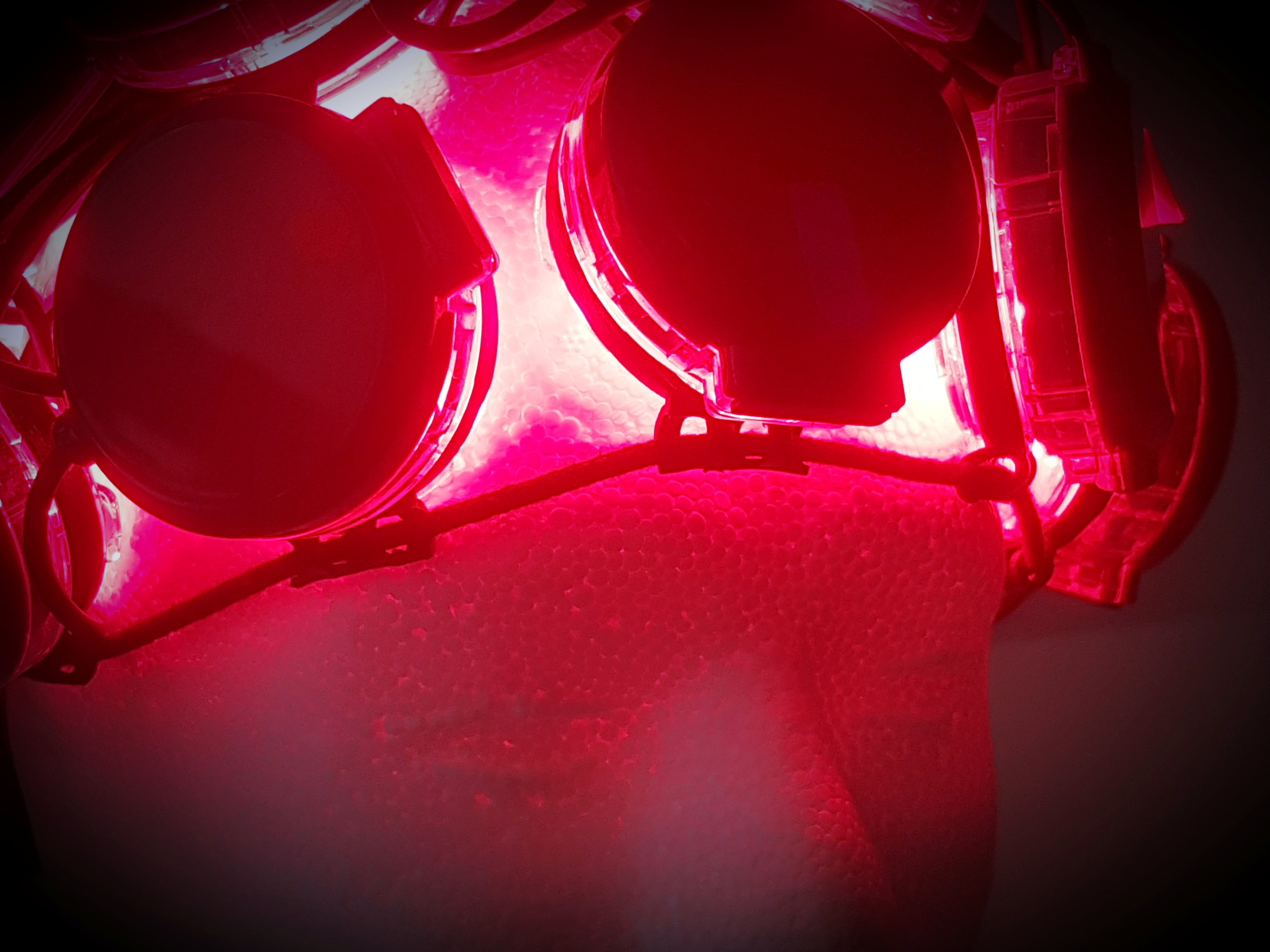 Regenlife illumine son capital | CFNEWS