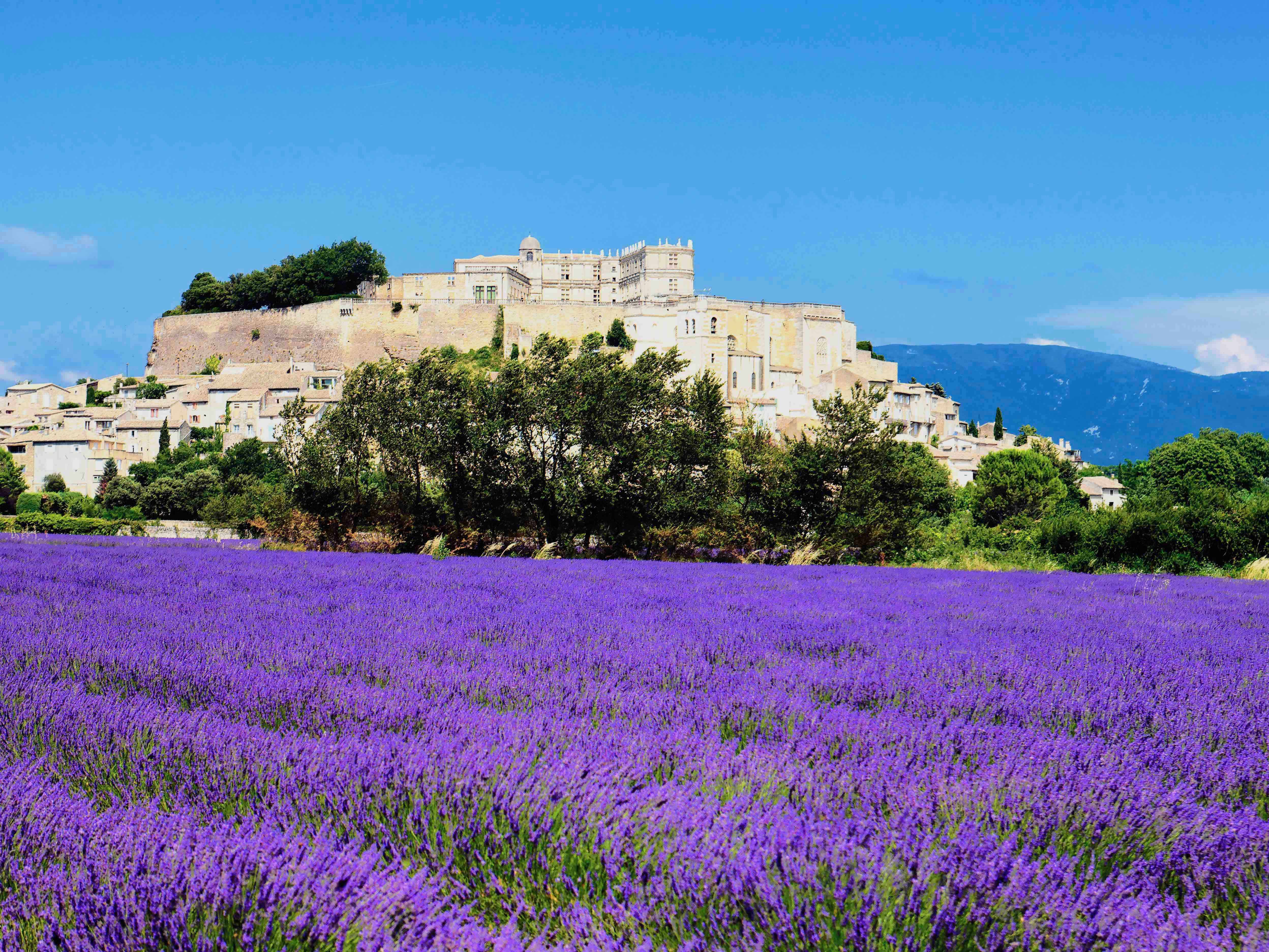 BSPI Finance s’adosse | CFNEWS