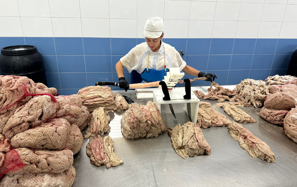 Solexia reprend goût à la viande | CFNEWS