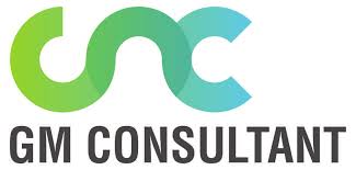 GM Consultant expertise un industriel | CFNEWS