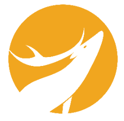 Wild Code School programme un premier tour | CFNEWS