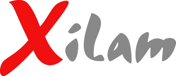 Le P-dg de Xilam Animation remonte au capital | CFNEWS