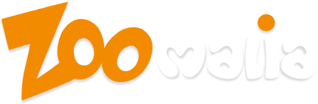 Zoomalia.com relève un tour | CFNEWS